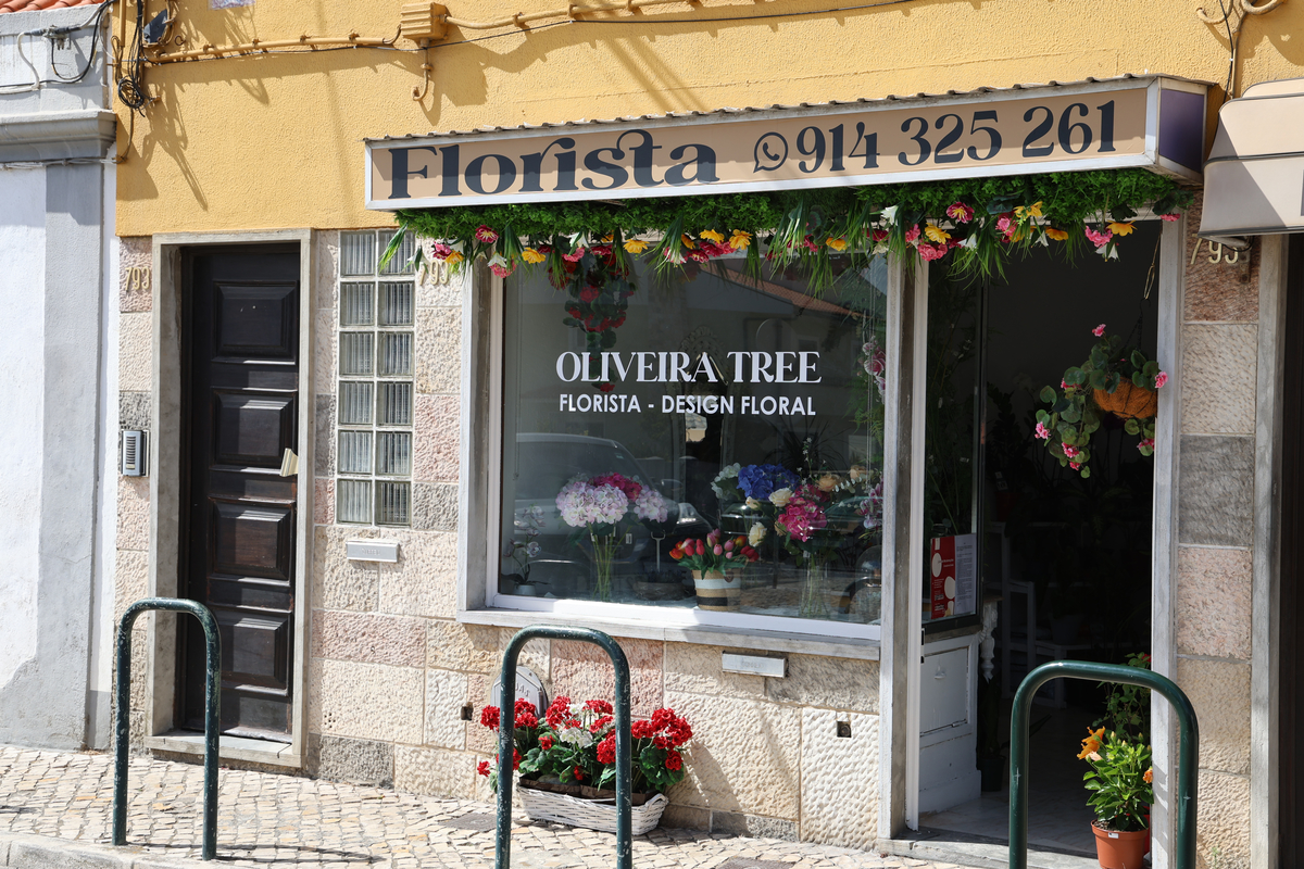 Oliveira Tree - Muito mais do que flores! - Sekreta Magazine